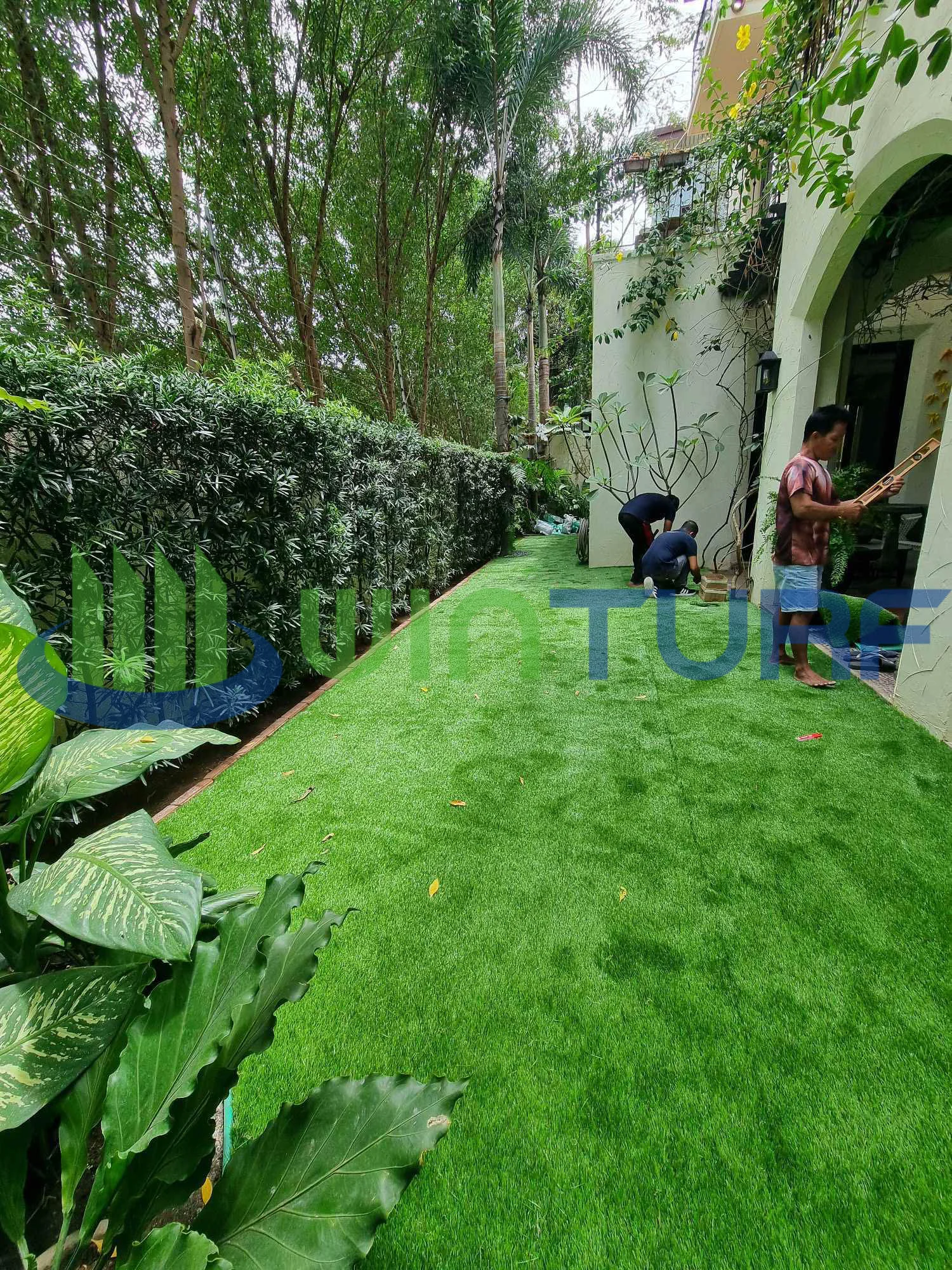 Turf Philippines 033125_70 | Winturf